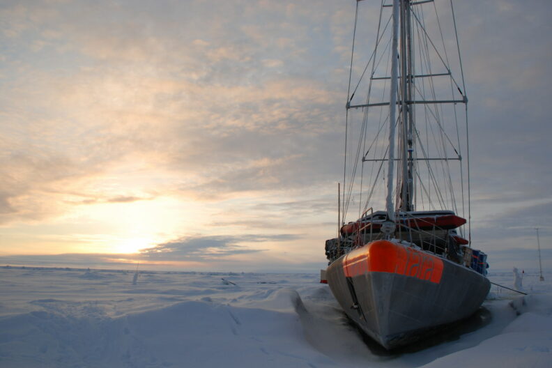 Coral in the face of climate change | Tara Pacific