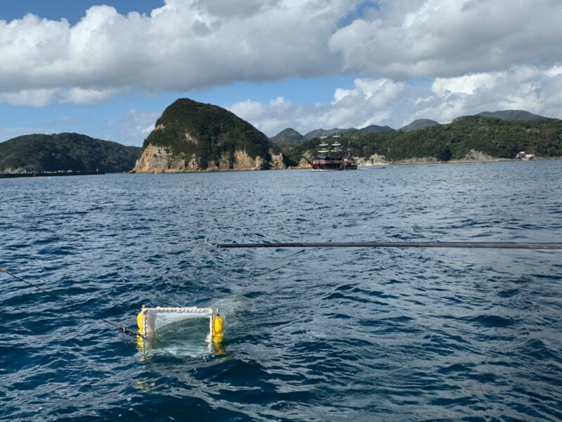 Plastic pollution and marine biodiversity in Japan | Tara-Jambio