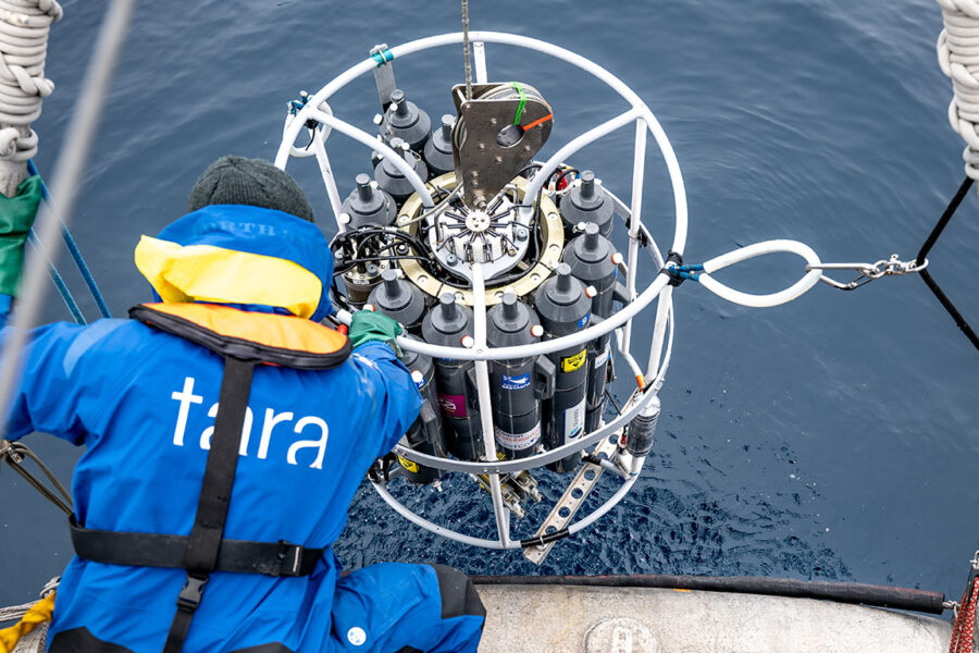 Studying the biodiversity of marine plankton | Tara Oceans