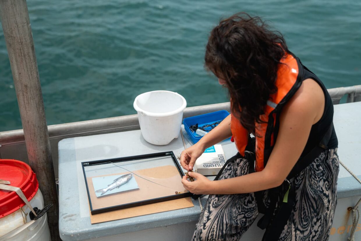 Lara Tabet, artist in residence on the schooner Tara