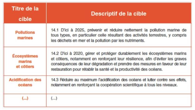 Objectifs de Développement durable et ressources éducatives
