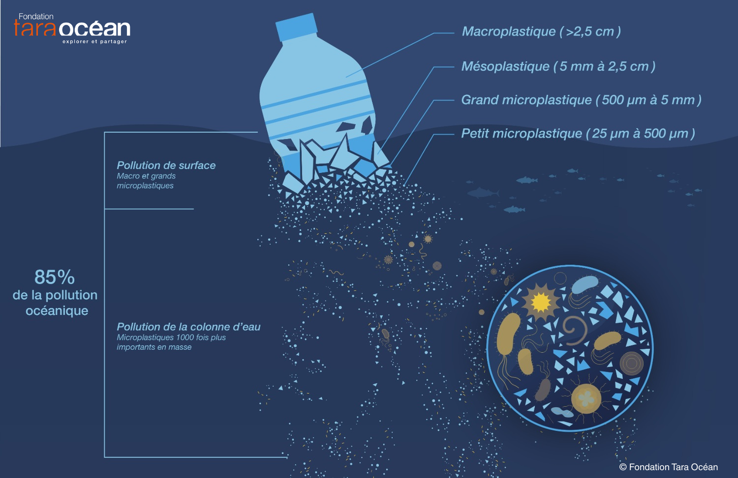 Microplastic pollution: major but invisible