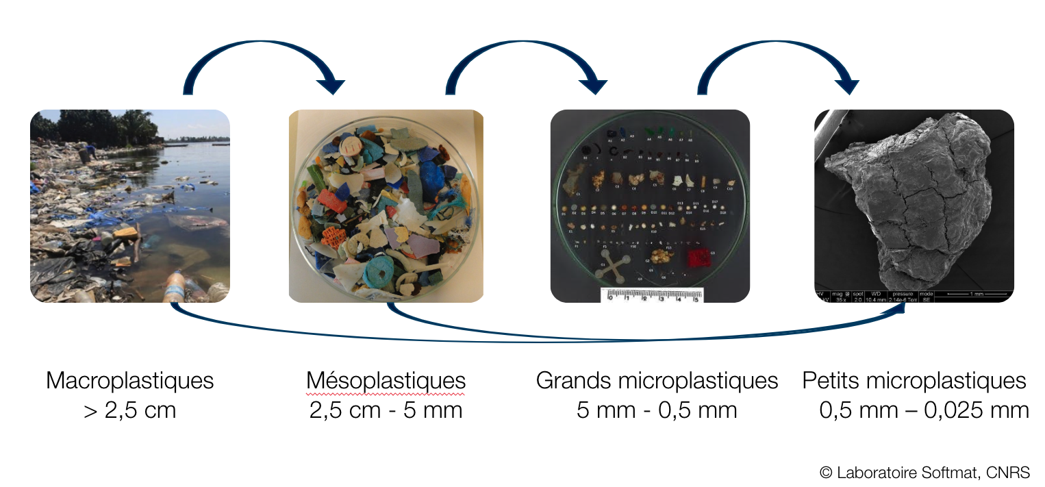 La pollution aux microplastiques : majeure mais invisible
