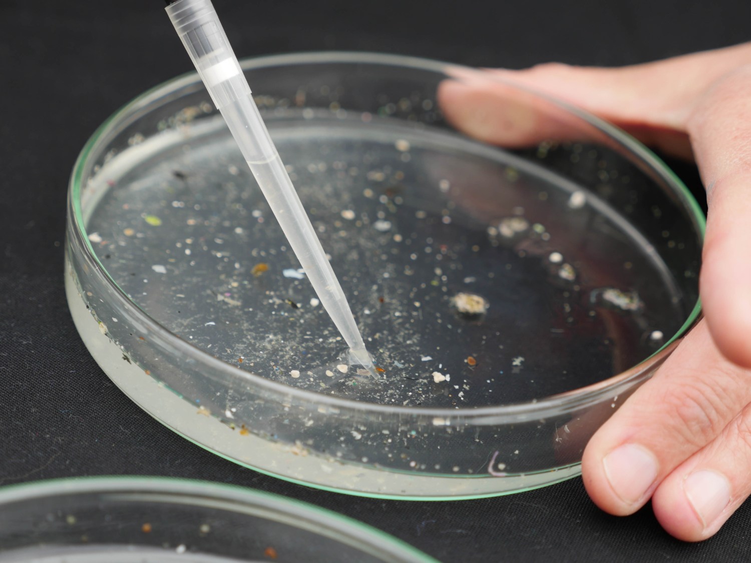 Microplastic pollution: major but invisible