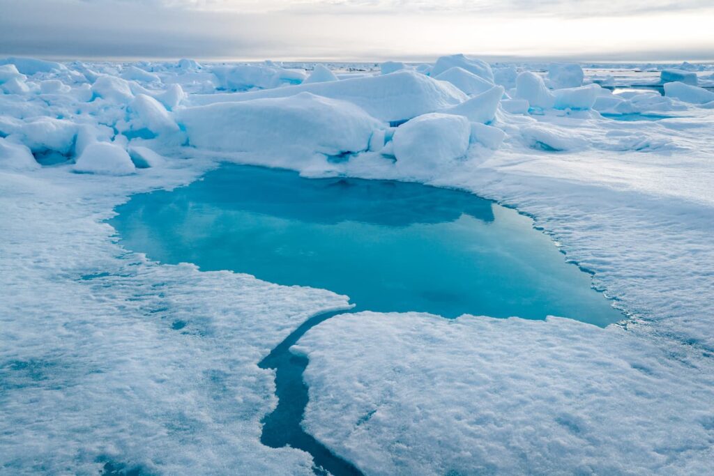 Sea ice: definition, formation, climatic role and impact of global warming